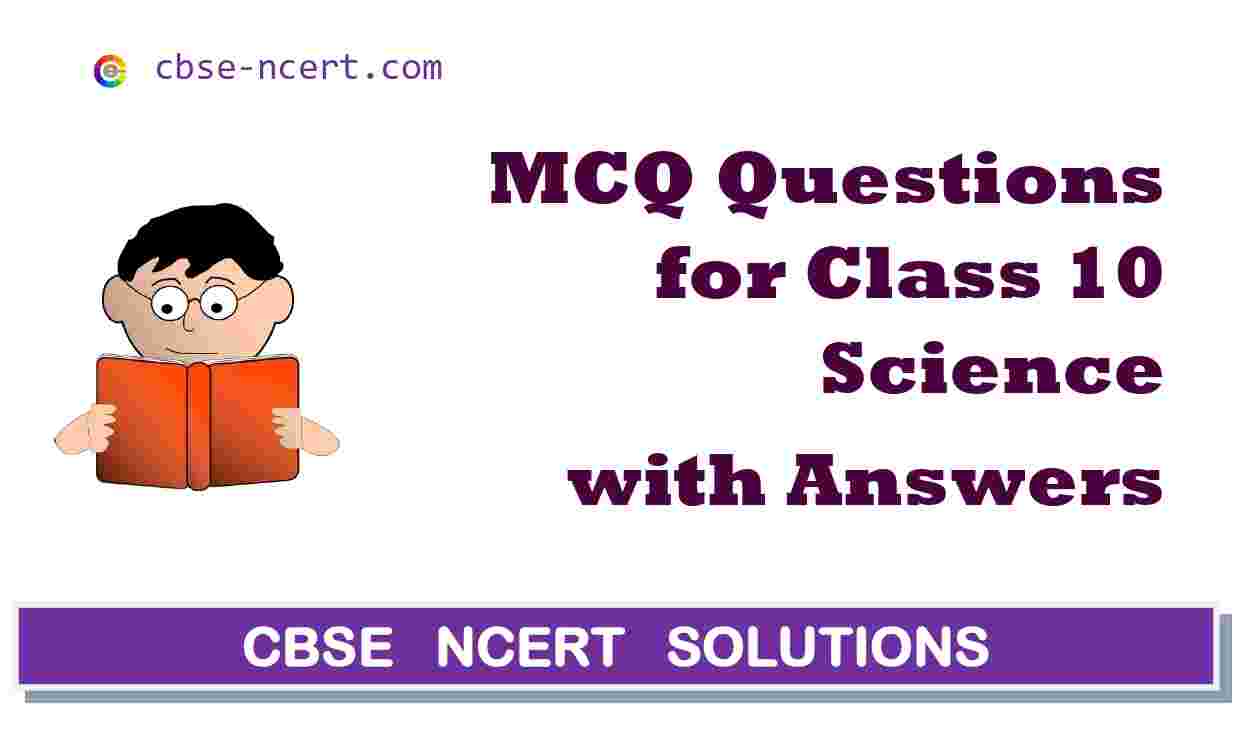 MCQ Questions Class 10 Science Chapter 2